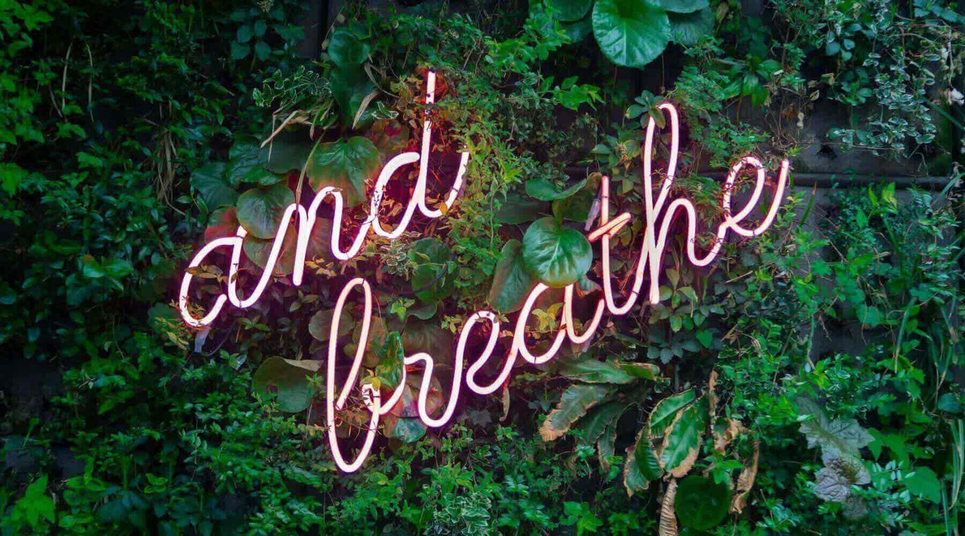Why Did My Humidifier Stop Working & How to Troubleshoot It? – Geniani